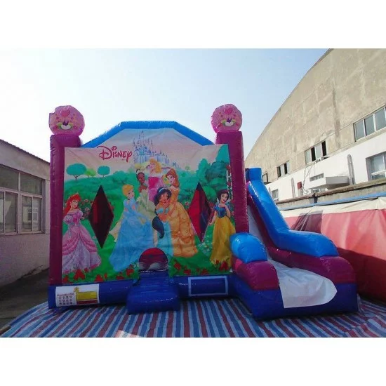 Disney Princess Combo Slide For Sale, Buy Disney Princess Combo Slide ...
